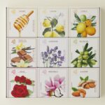 Handmade soaps made in Italy | Alchimia Soap